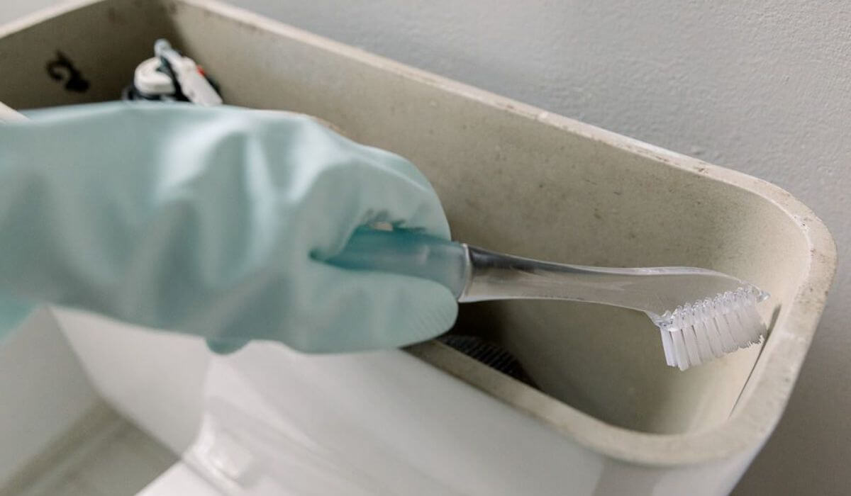 Truco Para Eliminar El Sarro Del Tanque Del Inodoro